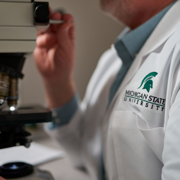 MSU Researchers Study Impact of Epigenetic Aging on Birth Outcomes in ...